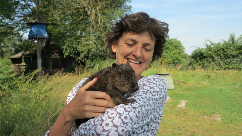 Groundswell Agriculture No-Till Show & Conference – Isabella Tree ...