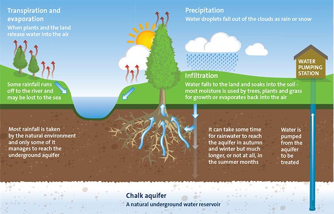 Soil And Water