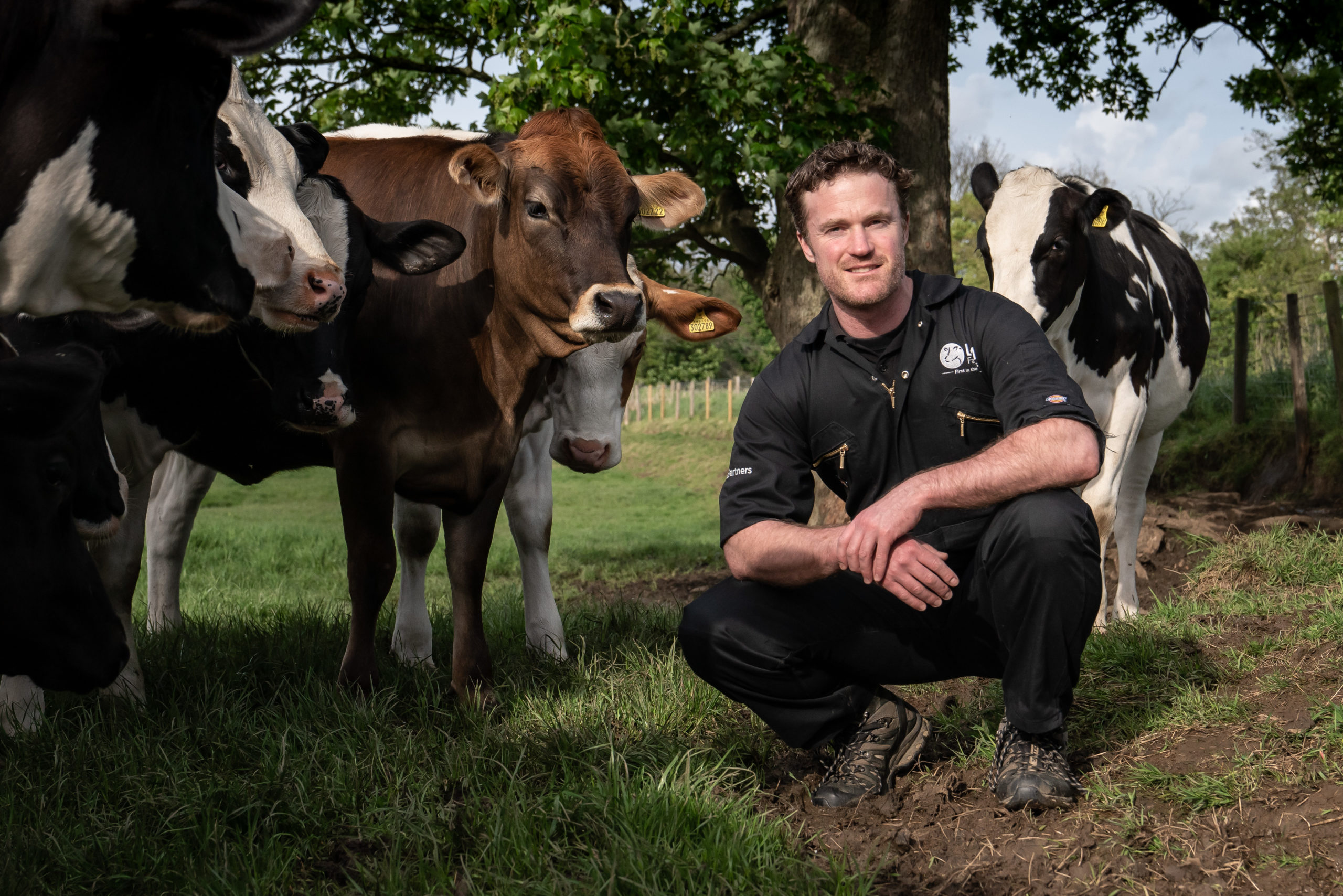 Groundswell Regenerative Agriculture Show & Conference – Rob Howe ...