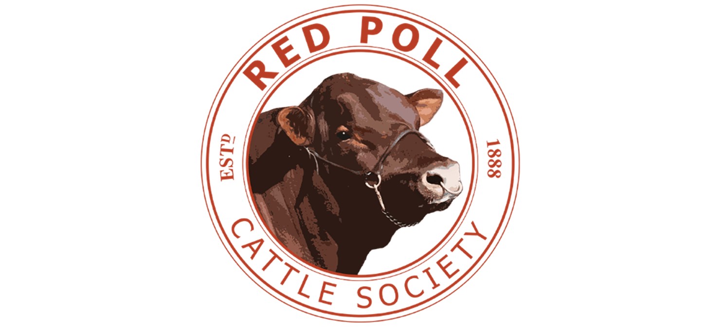 Groundswell Regenerative Agriculture Festival Exhibitor - Red Poll ...